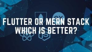 Flutter or MERN Stack Which is Better? - Metadesk Global
